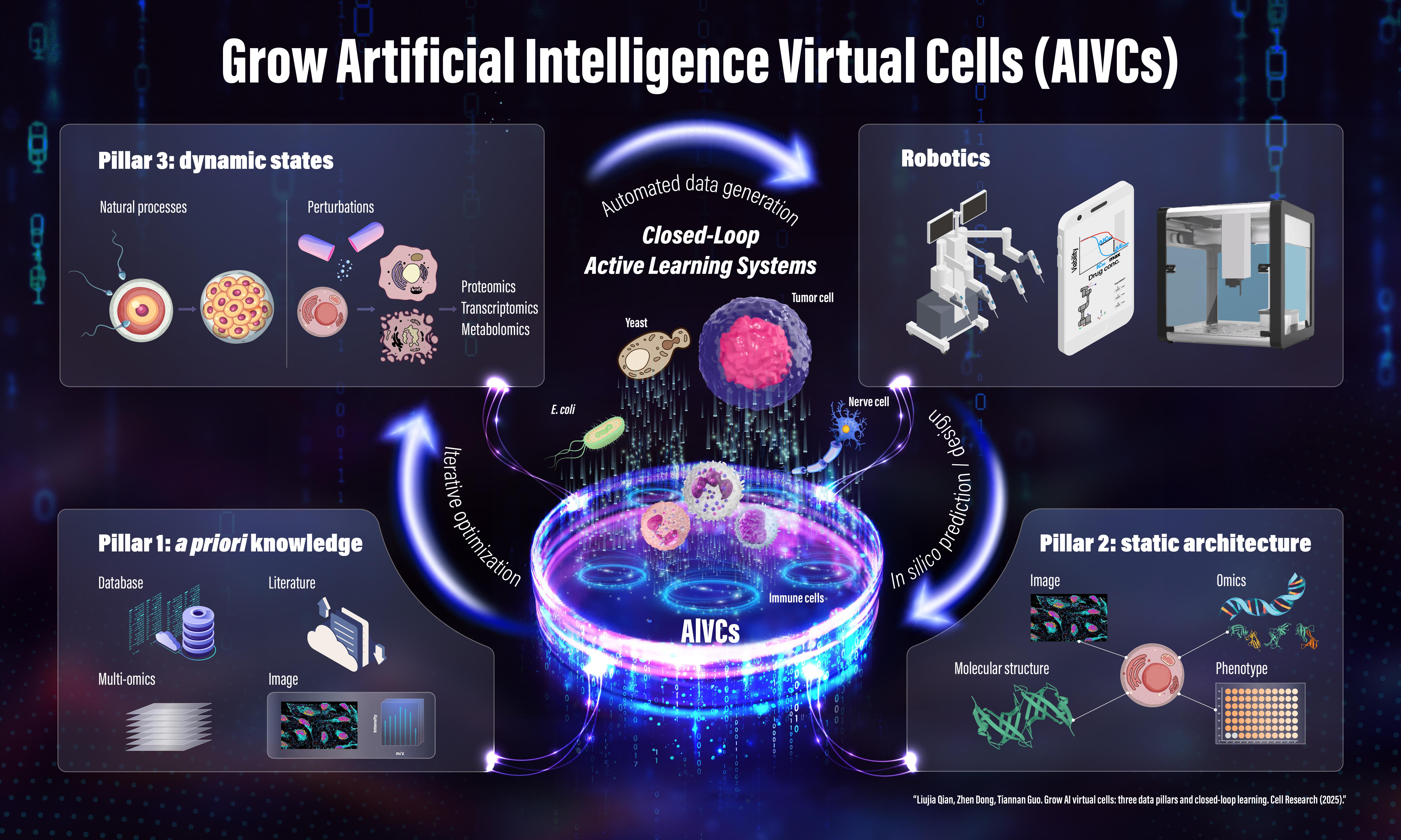 培养AI虚拟细胞 科学家提出“3+1”方案